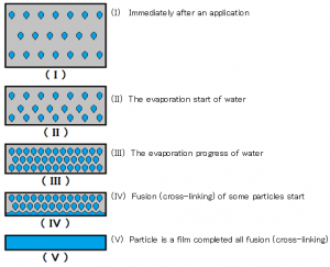 3-8.Three types of drying 3.Drying of the paint film and Membrane